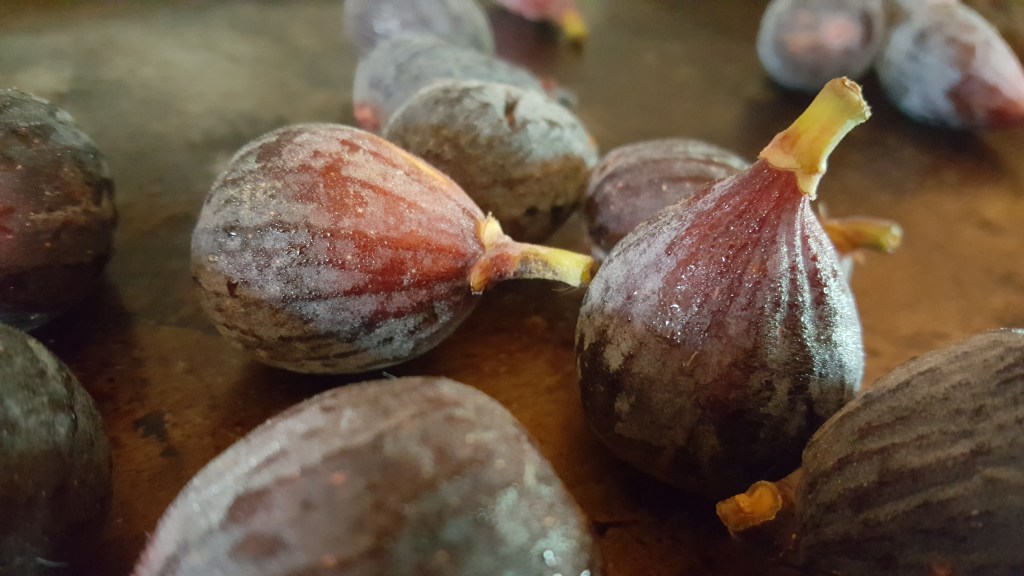 Broiled figs in peach sauce and Plum almond cake | Savor the Southwest: