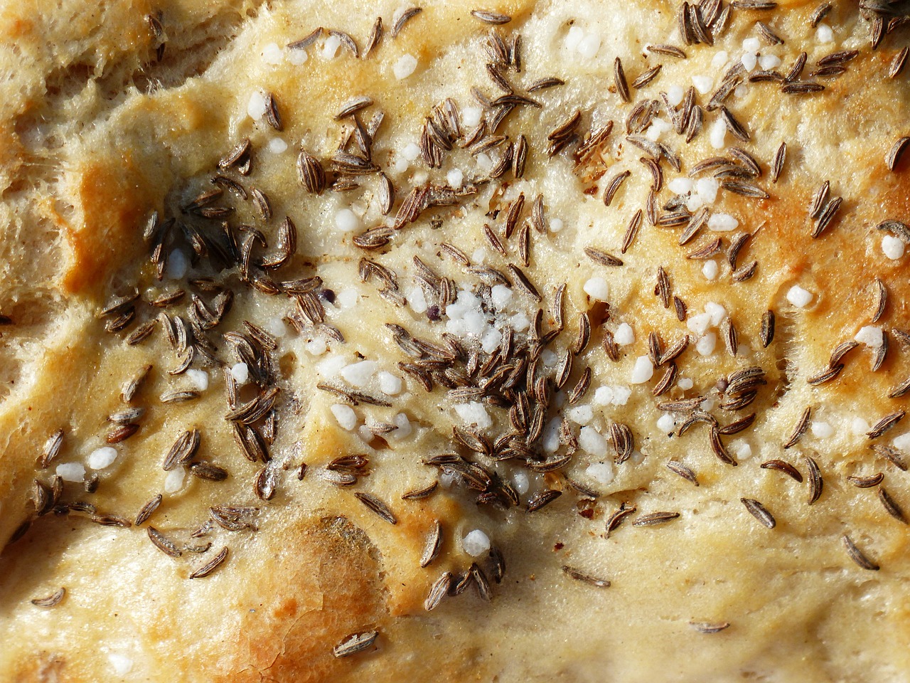 Easy to Grow – Caraway | Savor the Southwest: