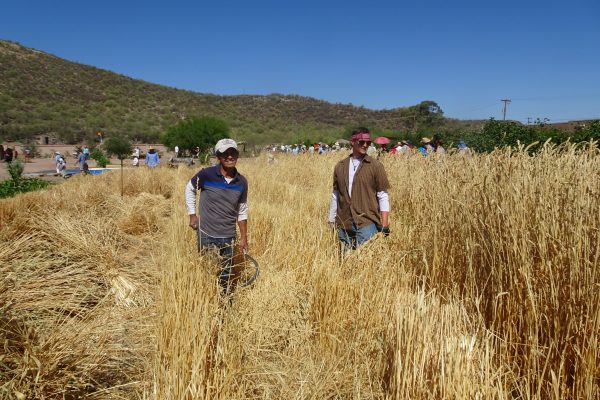 “A Desert Feast” Tells Story of a Heritage Grain | Savor the Southwest: