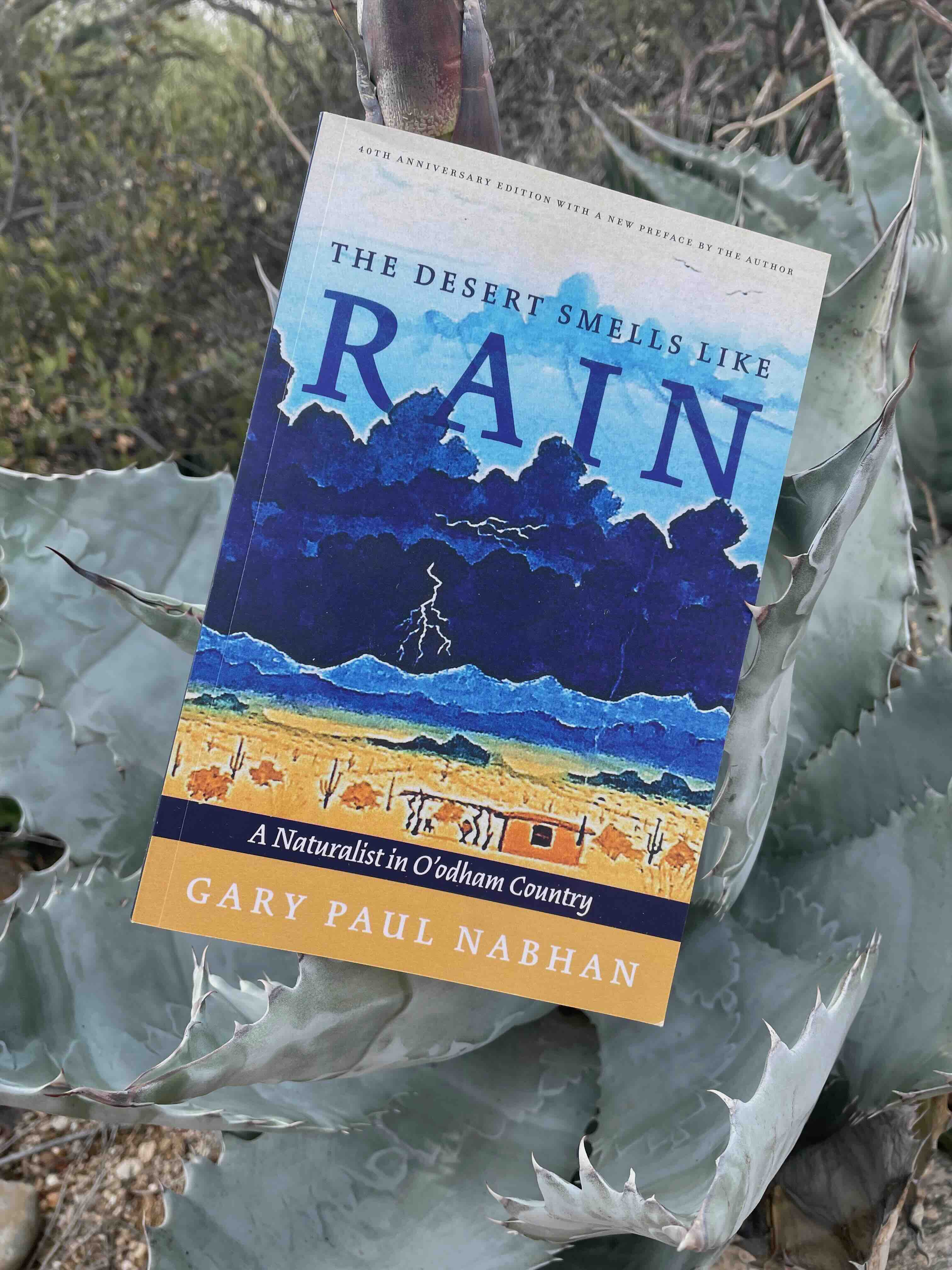 Celebrating Three Tucson Women and Their Innovative Work with Southwest ...