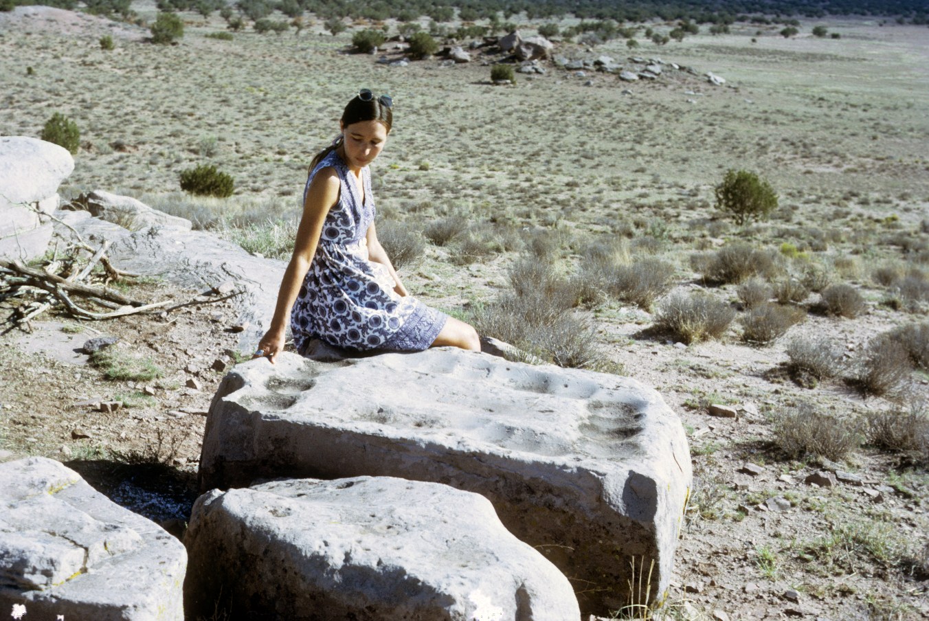 Savor the Southwest: | Forage, Raise, Cook