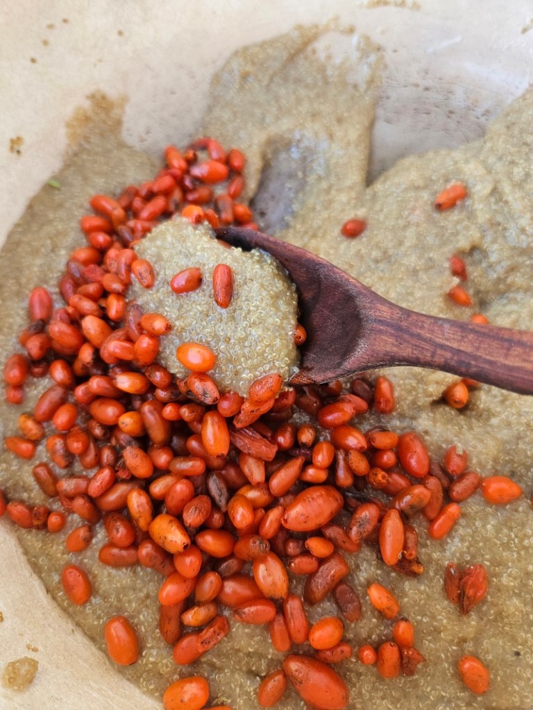 Savor the Southwest: | Forage, Raise, Cook