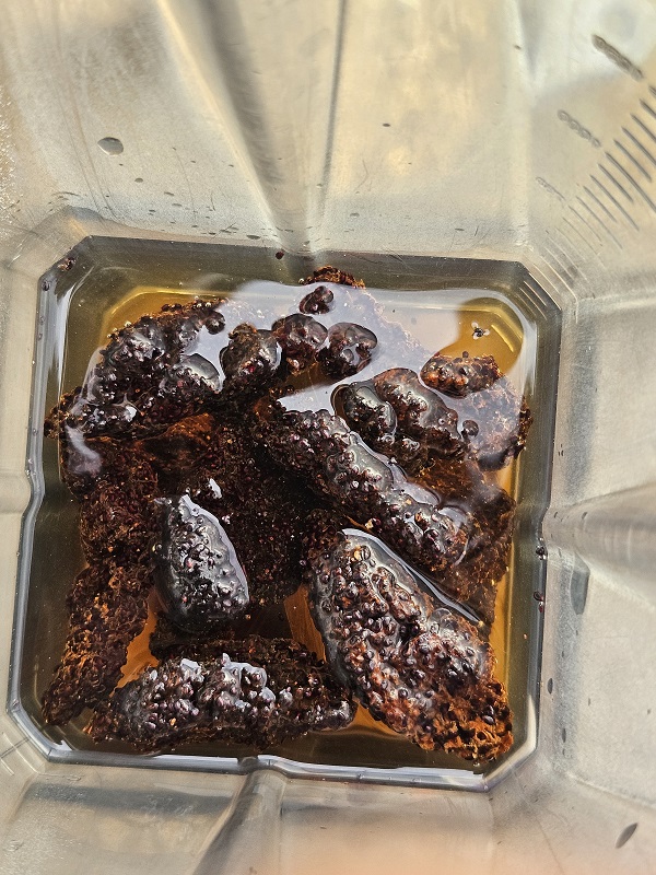 Savor the Southwest: | Forage, Raise, Cook