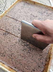 Savor the Southwest: | Forage, Raise, Cook