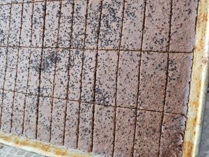 Savor the Southwest: | Forage, Raise, Cook