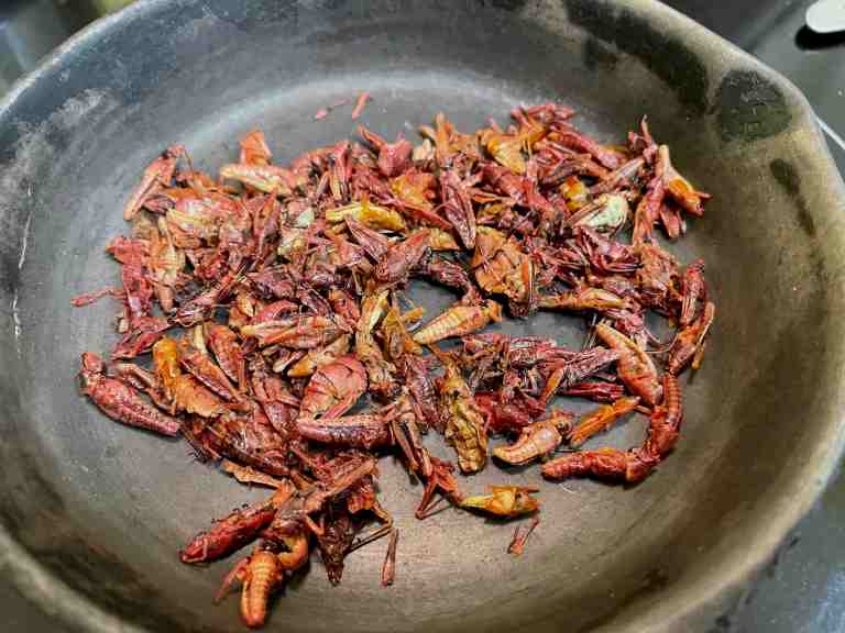 Savor the Southwest: | Forage, Raise, Cook