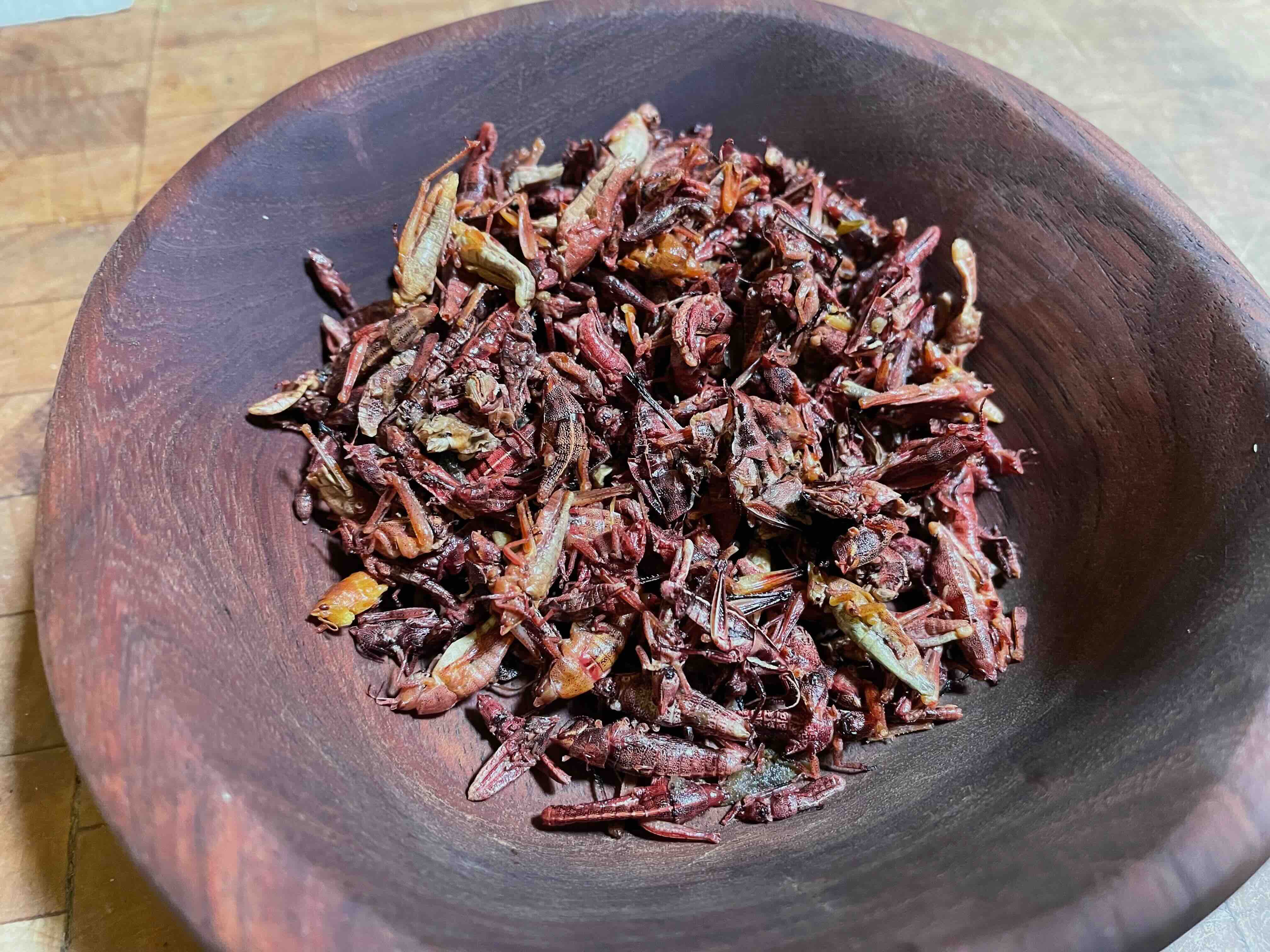 What Are Chapulines Chapulines By The Pound – Wholesale Edible